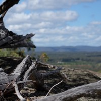 Workshop Information – High Country Deep Time Drawing and Painting ...